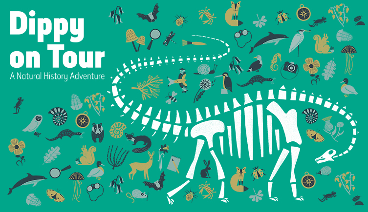Sing to Dippy Waiting List - Norfolk & Suffolk Music Hub